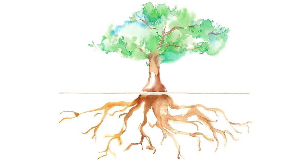 A New Family Tree…(An Outsider’s View). by Lisa Kawalec