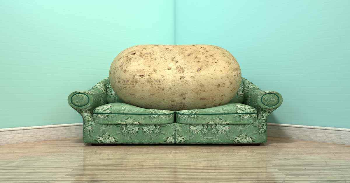 Couch Potato, No More! by Chip Conley