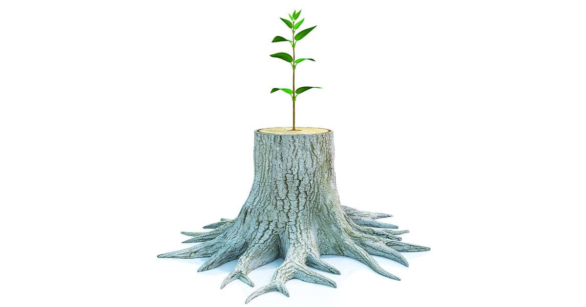 Retirement: A 20th Century Invention Past Its Expiration Date? by Chip ...