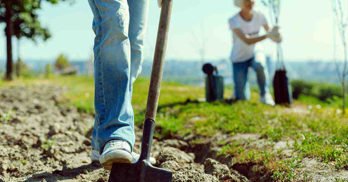 Sowing the Seeds of Regenerative Communities. by Farmer D.