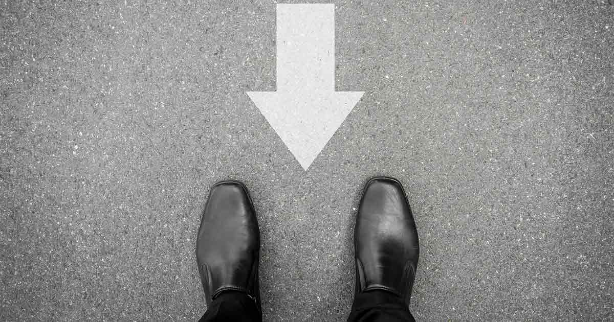 Stepping Forward, Stepping Back. by Chip Conley