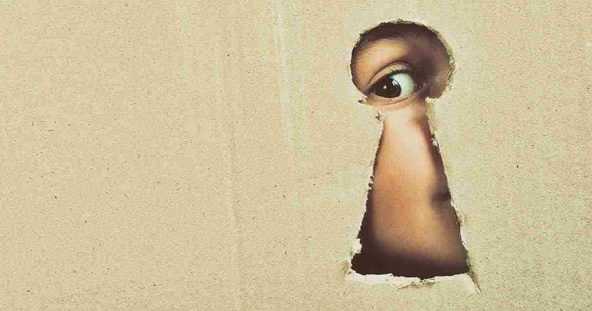 The Curiosity Project. by Ronna Lichtenberg