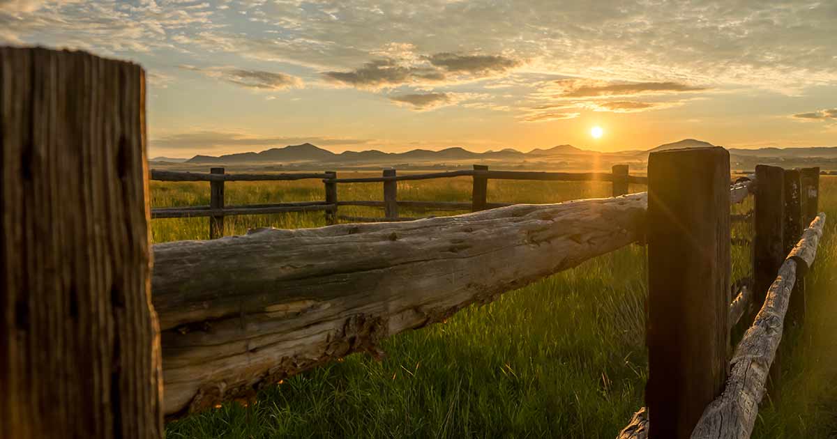 Viva, Rising Circle Ranch! by Chip Conley