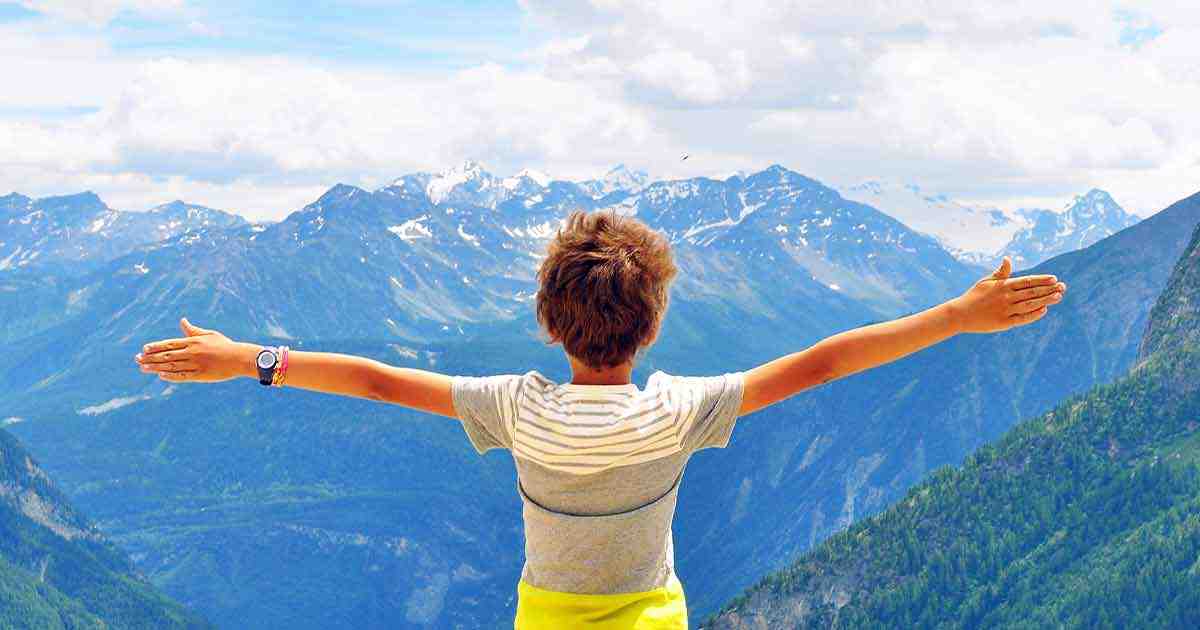 What Do You Profess? by Brodie Theis