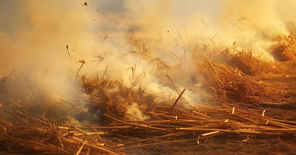 Burn the Haystack. by Chip Conley