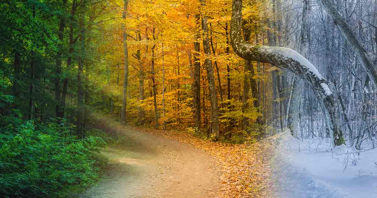 What’s Your Favorite Time of the Year (and Where)? by Chip Conley