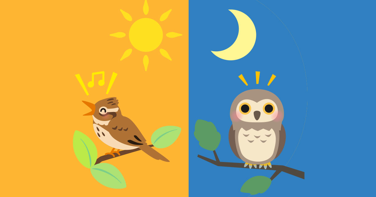 Is it Better to be an Early Bird or a Night Owl? by Chip Conley