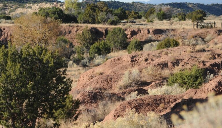 Santa Fe Campus - MEA Wisdom