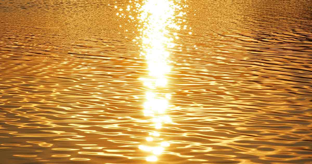 Rise and Shimmer by Sheila Tallmon