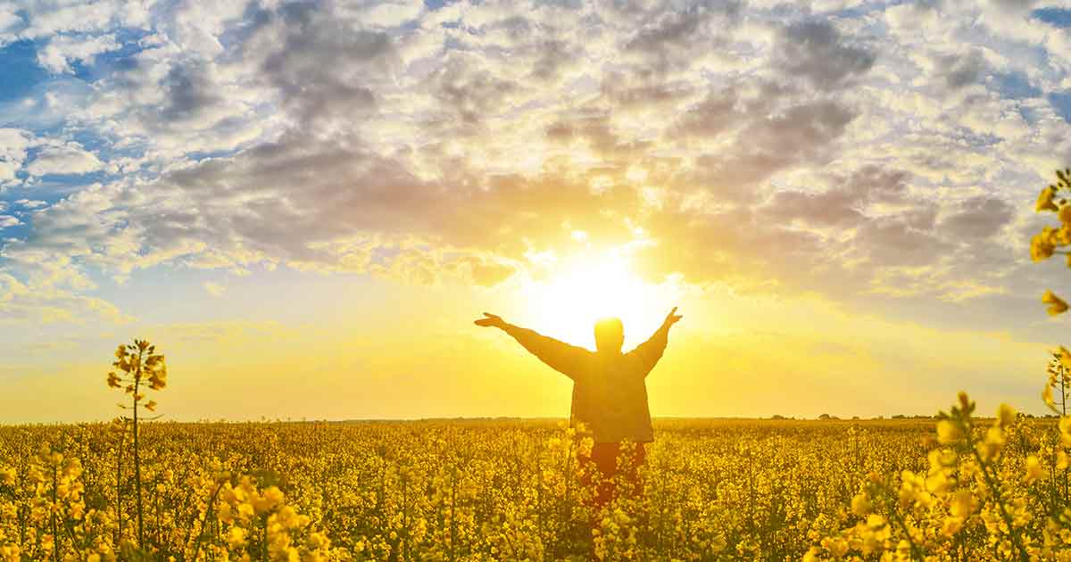 New Study Shows Late Midlife as a Time of Joy by Chip Conley