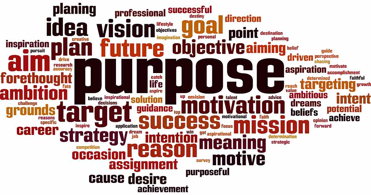 What's the Purpose of Purpose? by Andrea Deskin