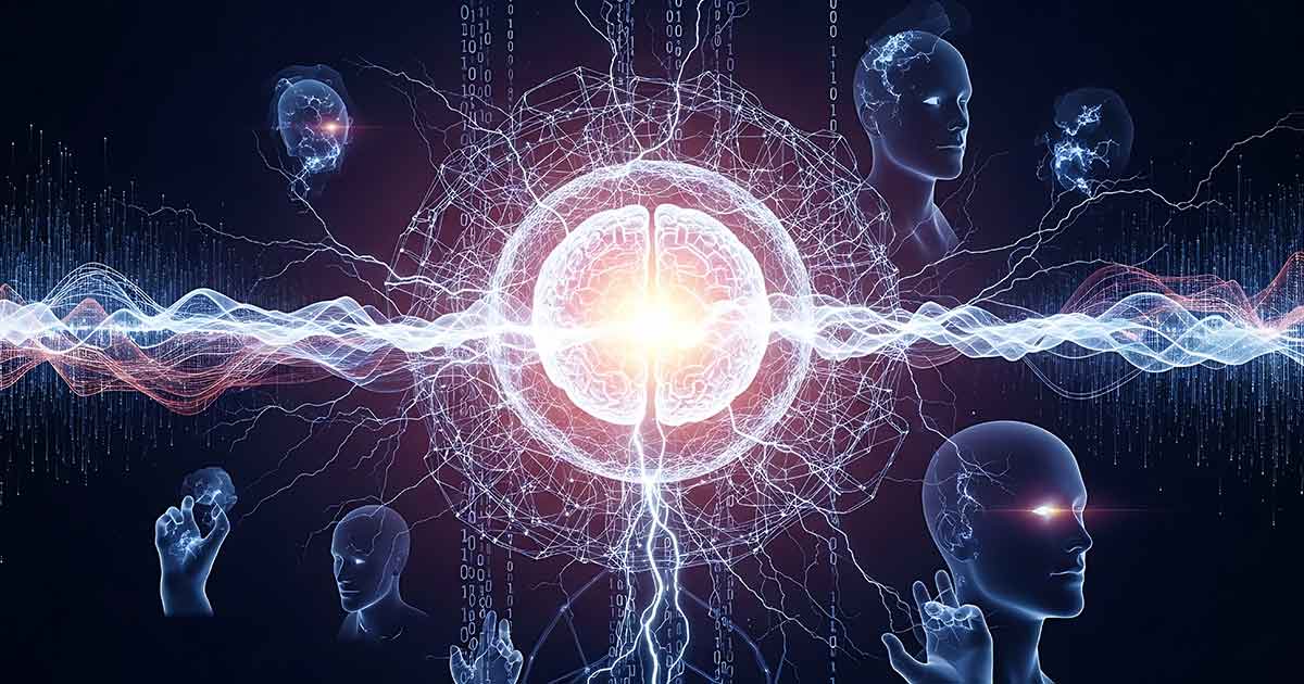 Wisdom Is Evolution By Chip Conley