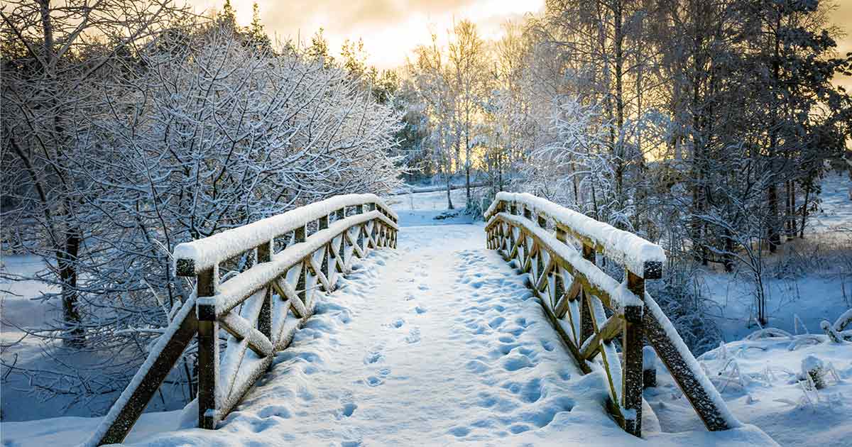 What is to be Learned from Winter? by Chip Conley